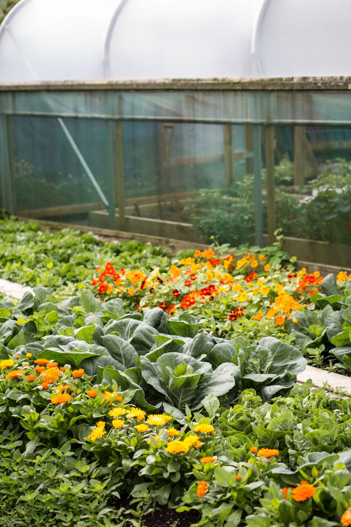 Simon Rogan | Our Farm