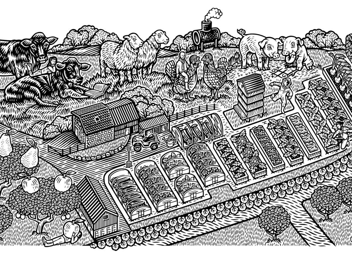 Simon Rogan | Our Farm