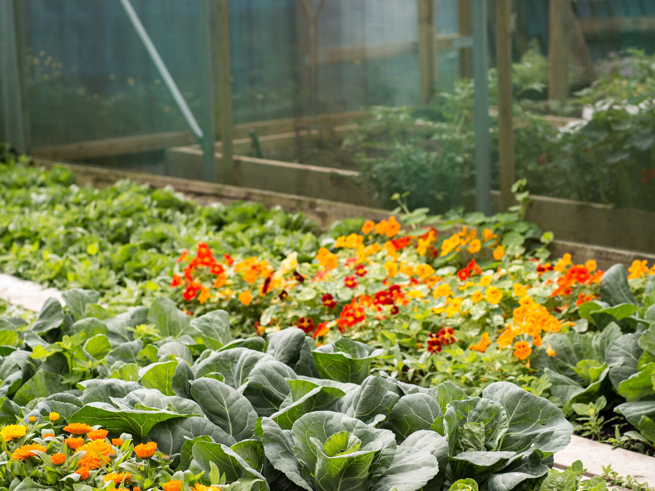 Simon Rogan | Our Farm