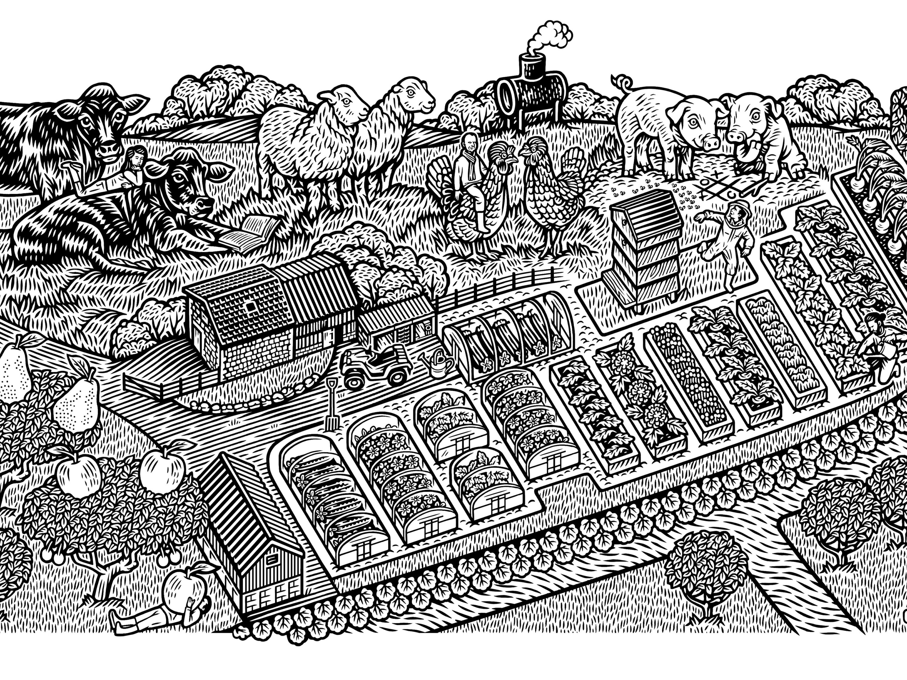 Simon Rogan | Our Farm