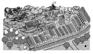 Simon Rogan | Our Farm