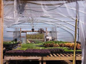 L'Enclume | Our Farm