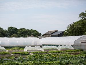 Simon Rogan | Our Farm