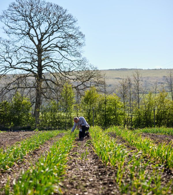 L'Enclume | Our Farm